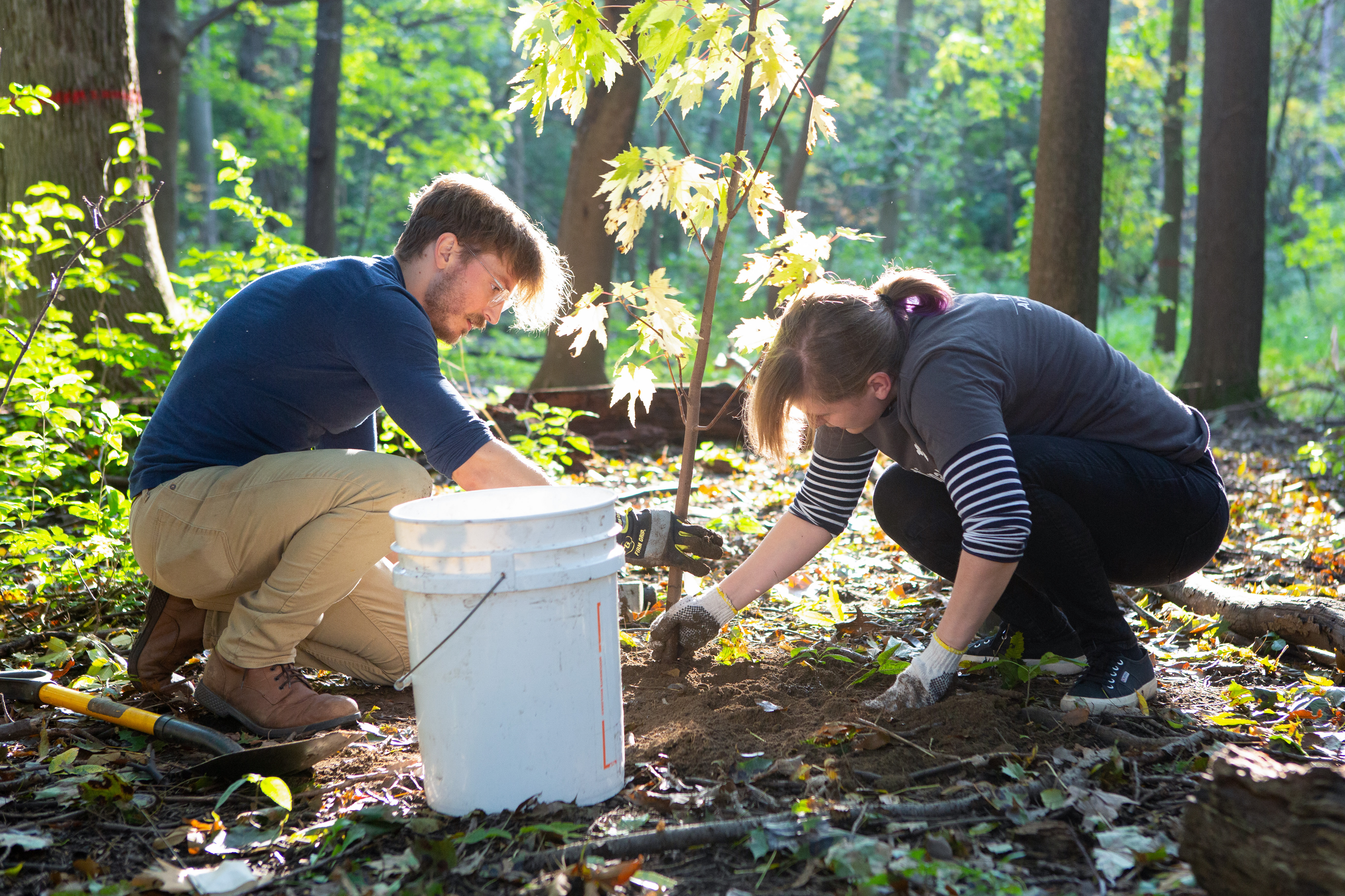 Meet the non-profit organization who plants millions of trees across ...
