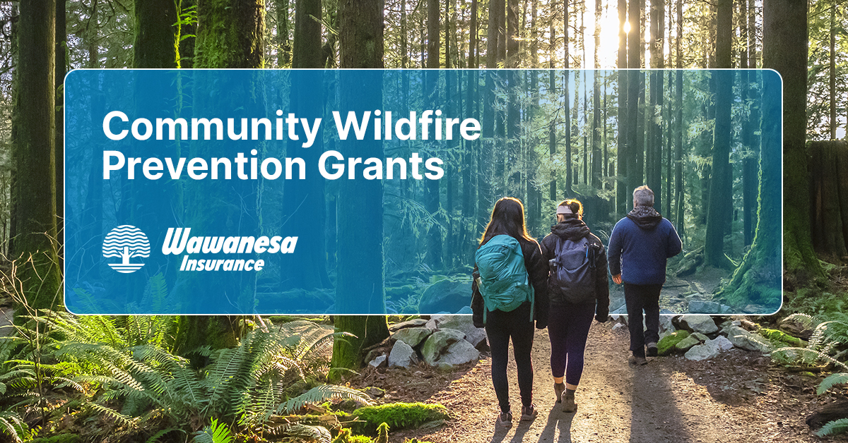 New Community Wildfire Prevention Grants Now Available - Wawanesa Canada