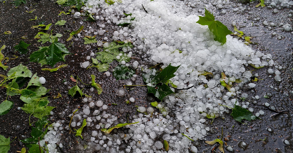 It's hail season. Are you prepared? - Wawanesa Canada